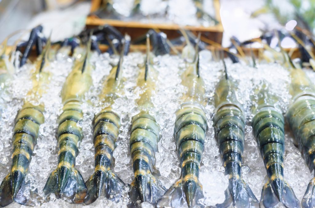 Best Export Seafood - Quality Fresh & Frozen Scampi Shrimp